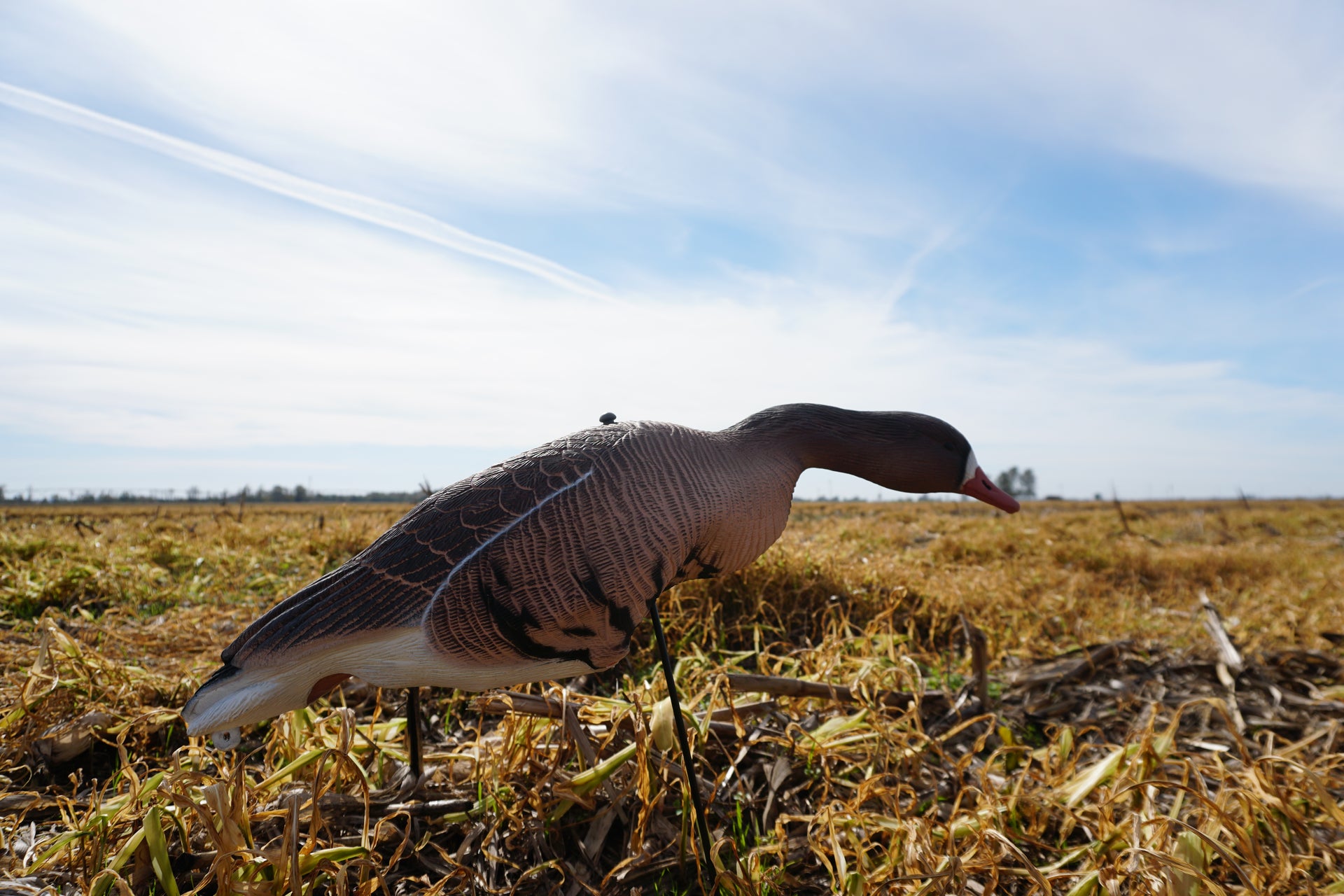 Quake Lake Decoys by RH Outdoors