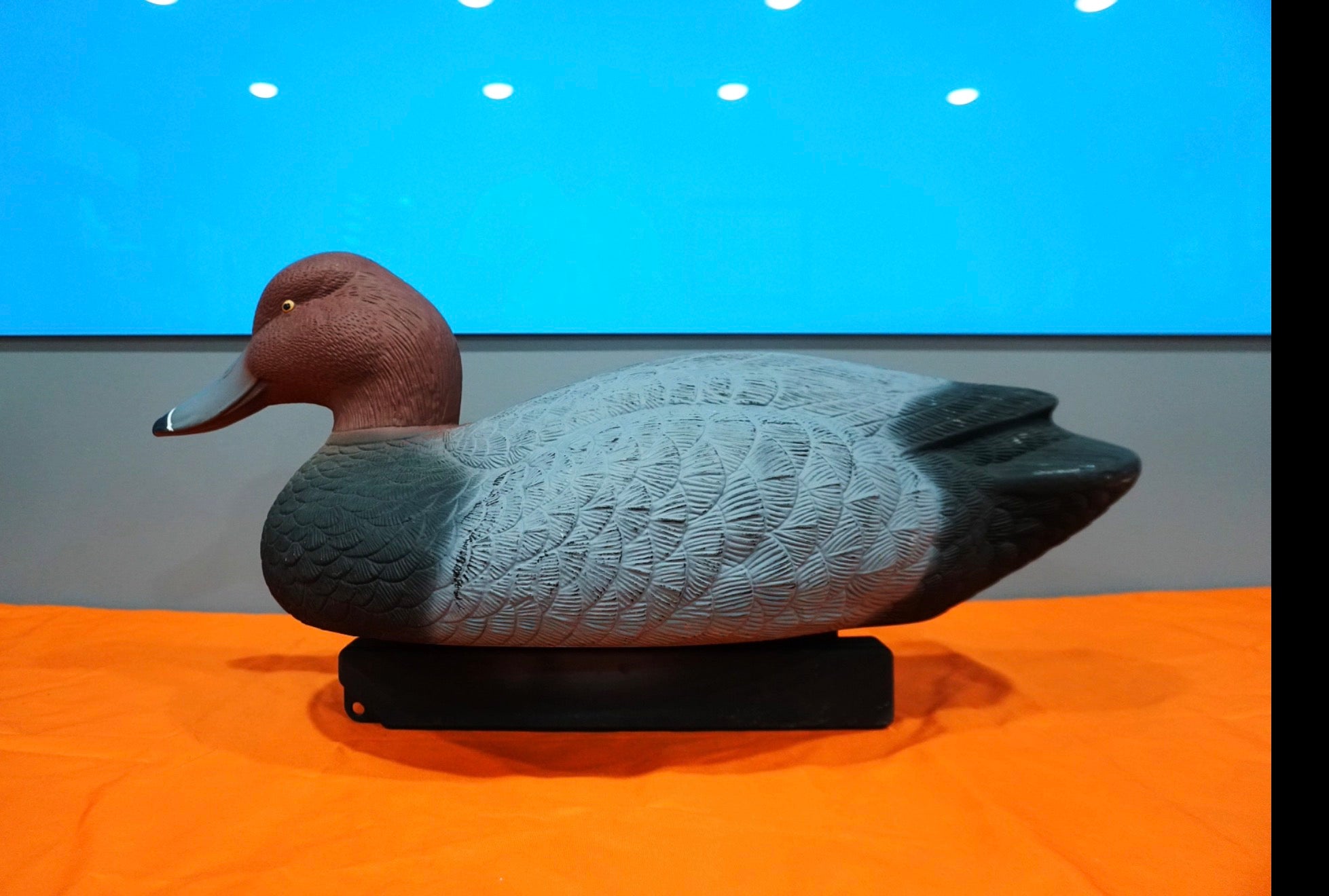 Red Head Jumbo Decoy – Quake Lake Decoys by RH Outdoors