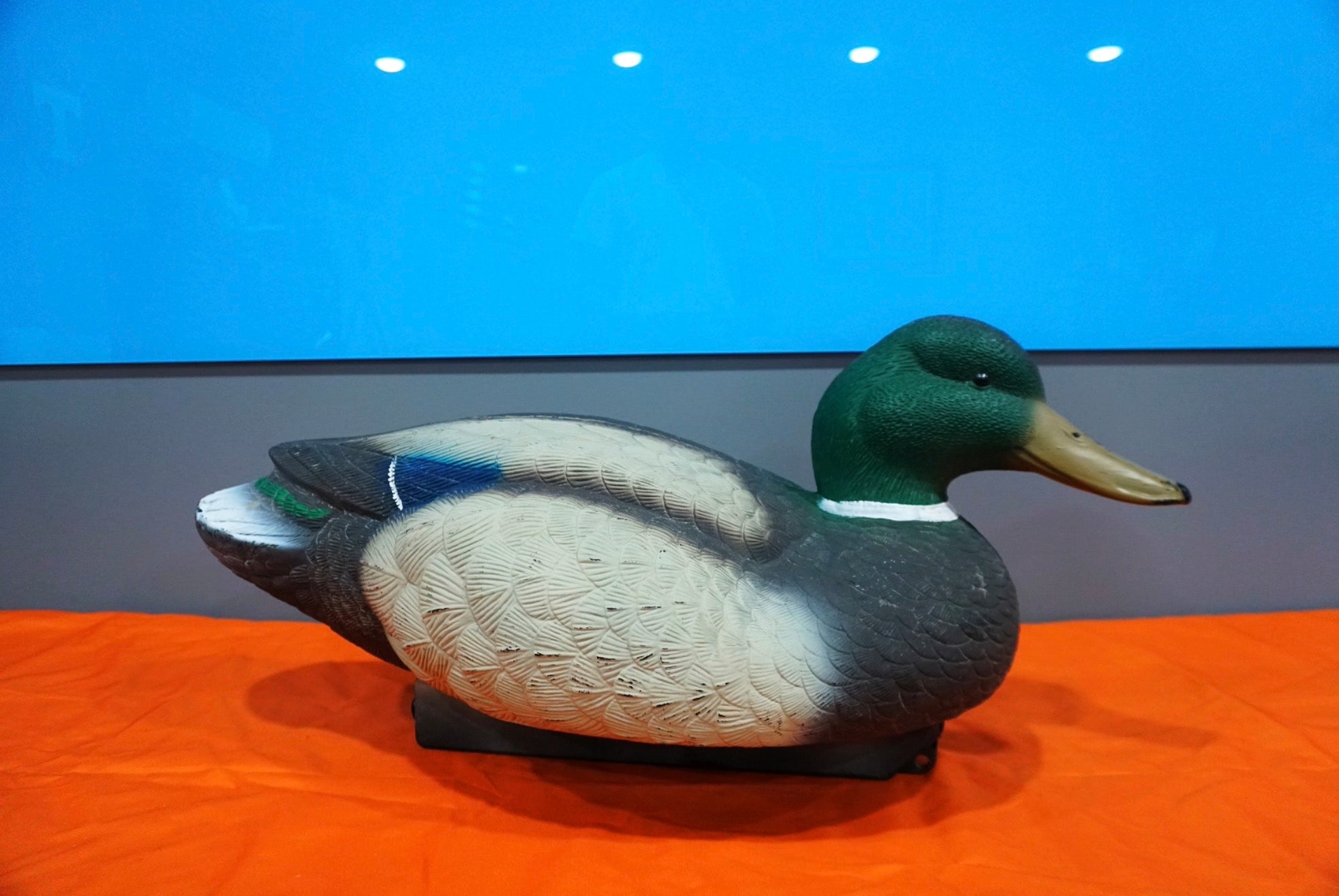 Jumbo Decoys Drake & Black Duck Combo – Quake Lake Decoys by RH Outdoors